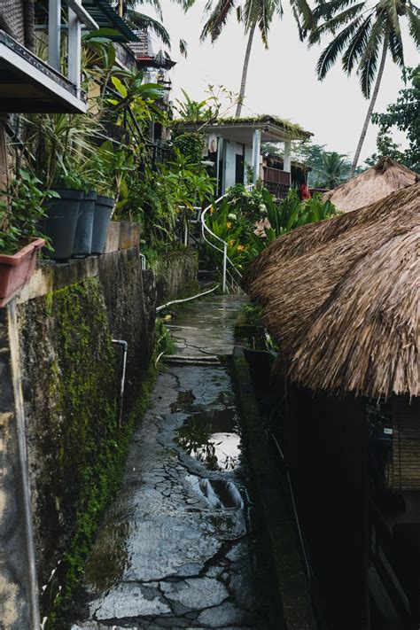 Learn Html Css In 10 Days Institute Of Code Bali — Joe Allam