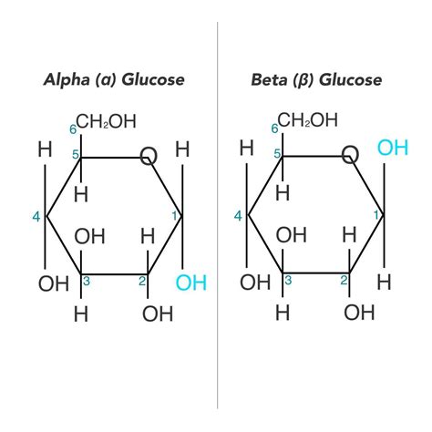 Understanding The Structure Of Alpha Glucose