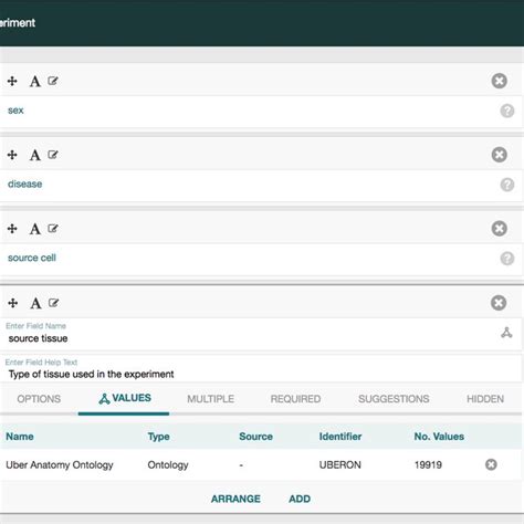 Screenshot Of The Template Designer Showing The Creation Of An Download Scientific Diagram