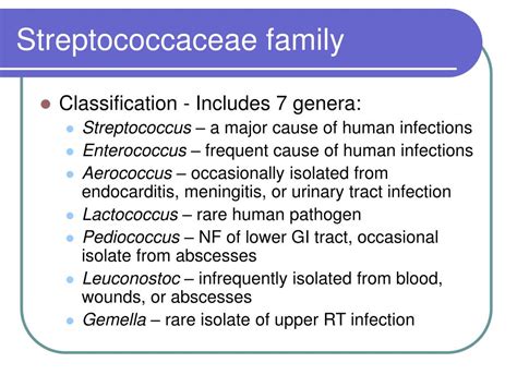 Ppt Streptococcaceae Powerpoint Presentation Free Download Id 459368