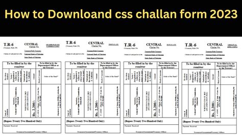 Css Form 2023 Printable Forms Free Online
