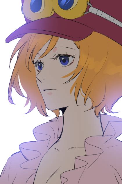 Koala One Piece Drawn By Raine Acke Danbooru