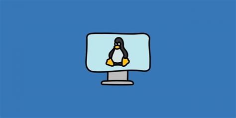 终端基础：linux 终端入门 Linuxstory