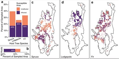 Host Tree Susceptibility To Bark Beetle Outbreak And The Occurrence Of Download Scientific