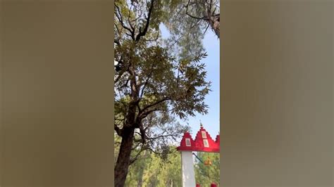 Jai Isht Dev 🤍 Youtube