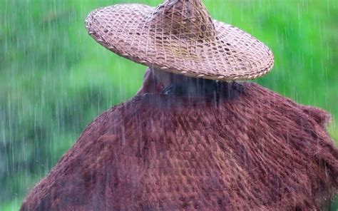 蓑衣在2200多年前的先秦时期就已经出现了是人们用来避雨的工具 彭南科 彭南科 哔哩哔哩视频