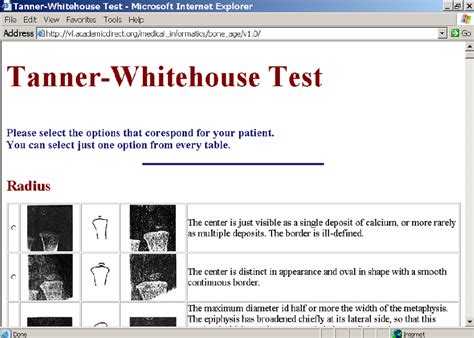 Java Script Program Running Indexhtml Download Scientific Diagram