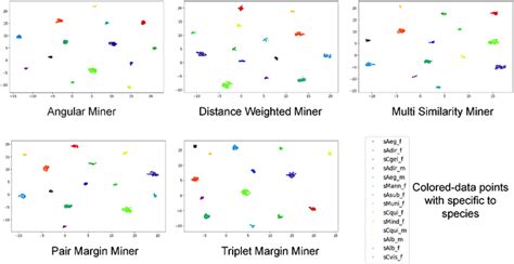 Umaps For Five Miners Comparison All Five Umap Represented
