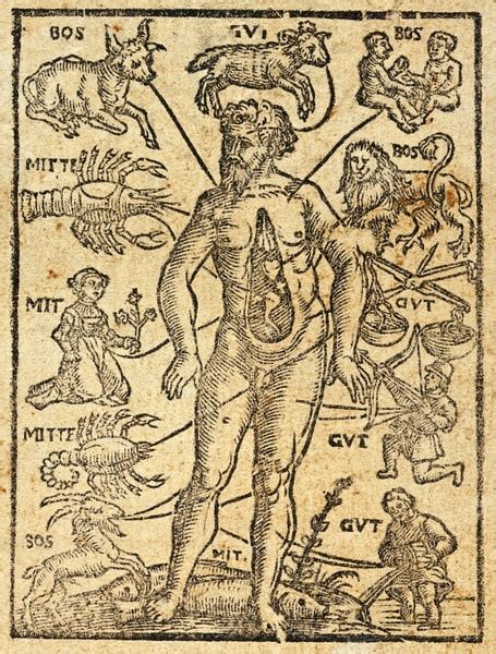12 Demonios Del Zodiaco 60 Photos