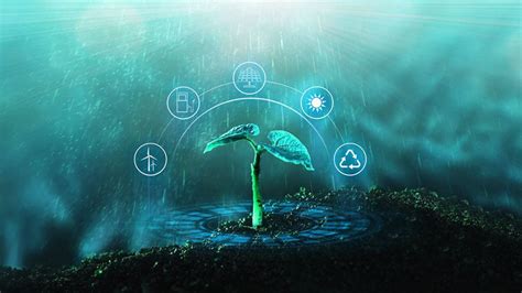 Transgenic Plants Applications Examples And Methods Inside Telecom