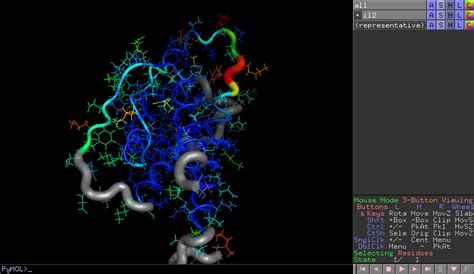 3 Using The Pymol Interface — Polyphony 10 Documentation