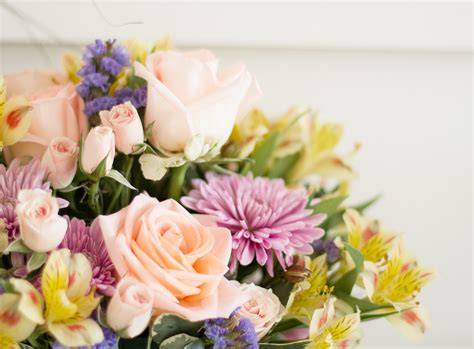 Free Photo Fresh Flowers Flower Fresh Freshness Free Download