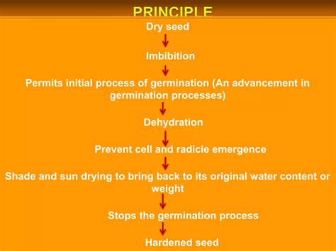 Seed Quality Enhancement Ppt Gardening Home And Garden