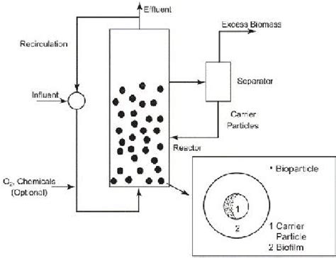 Schematic Diagram Of Fluidized Bed Bioreactor 38 Download Scientific Diagram