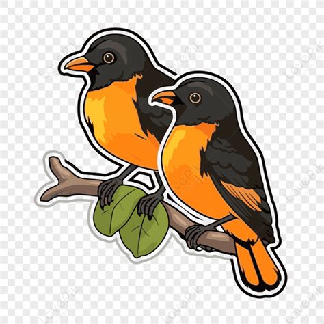 Lil 새 Orioles 클립 아트 검정색과 노란색 Colorbird 스티커 일러스트 벡터상표만화 Png 일러스트 무료 다운로드 Lovepik