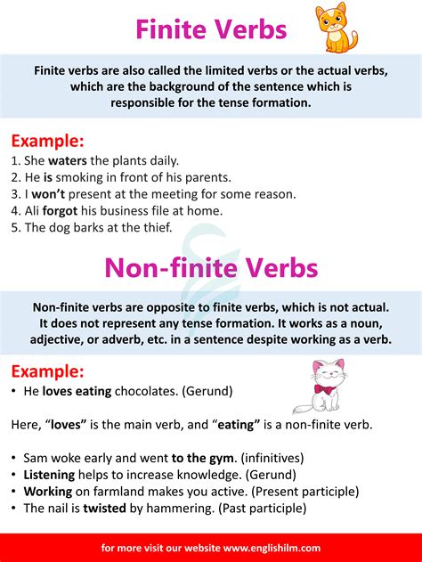 Verb Definition Types And Helpful Examples In English Grammar