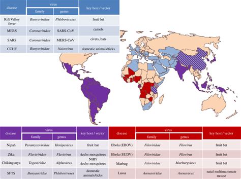 Schematic Representation Of Potential Multivalent Vaccine Strategies Download Scientific