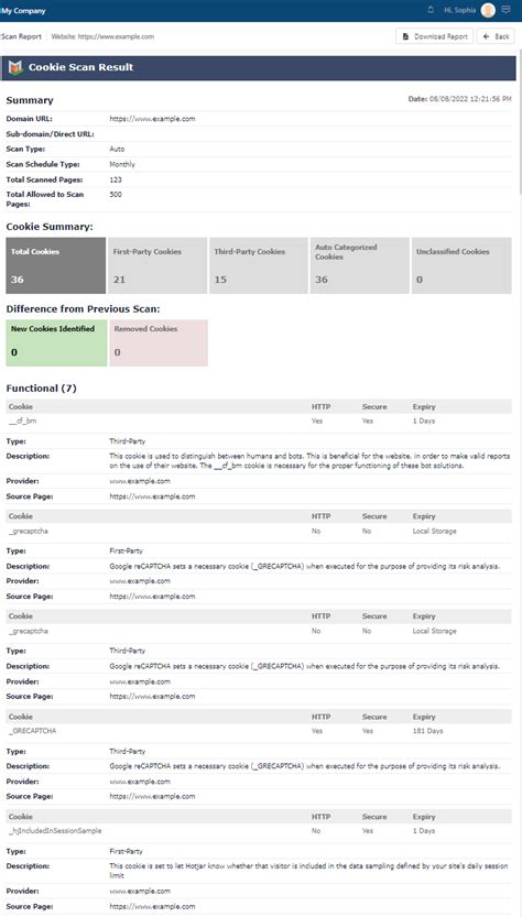 Review Scan Report