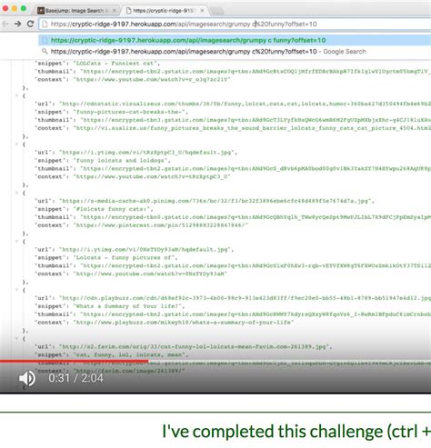 How To Indent Json Output On The Browser Nicely Like In The Demo The Freecodecamp Forum