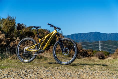 Lemon Peppa Ethandidnts Bike Check Vital Mtb