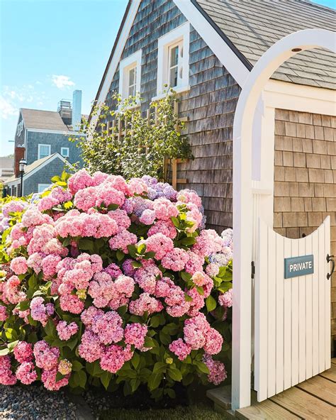 Micah Johnson Micahlauryn1020 Profile Pinterest