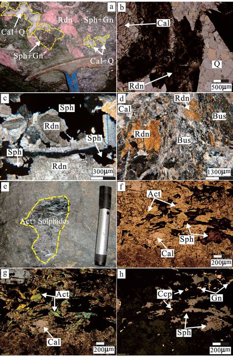 Colour Online Macroscopic And Microscopic Features Of Skarn