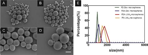 Morphology And Size Distribution Of Electrosprayed Drug Loaded Plga Download Scientific Diagram