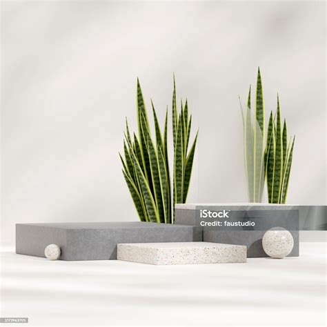 3d 렌더링 모형 템플릿 테라 조와 콘크리트 질감 연단 뱀 식물과 광장 0명에 대한 스톡 사진 및 기타 이미지 0명 3차원