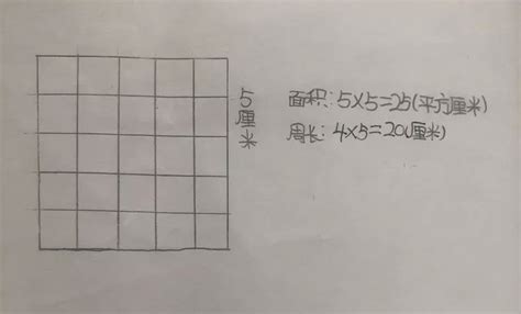 Python中计算正方形面积的方法长方形和正方形面积计算方法的探索矢锋的博客 Csdn博客