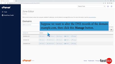how to edit a dns record in cpanel using the dns zone editor