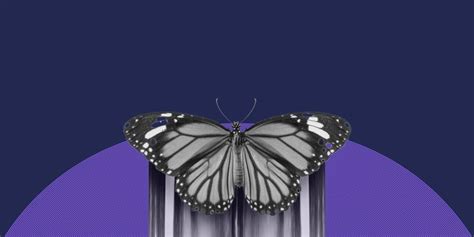 Sajjad Ahmad On Linkedin Userinterface Userdesign Ux Ui