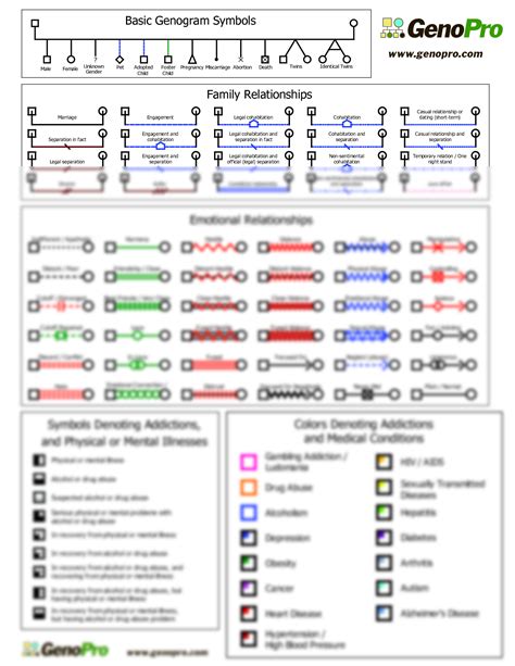 Solution Study Material Genogram Basic Symbols Studypool