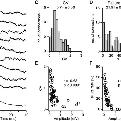 Reliability Of Excitatory Monosynaptic Connections In Vivo Download