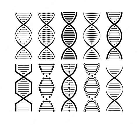 Premium Vector Dna Structure Icon Set Structure Molecule And Cell Chromosome Genetic Engineering
