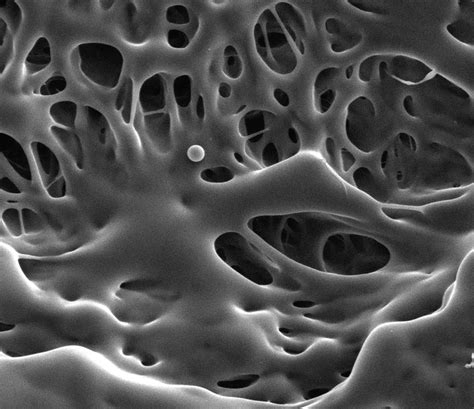 Scientists Make Art From Objects Invisible To The Naked Eye