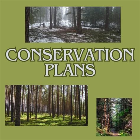 Ppt Conservation Plans Powerpoint Presentation Free Download Id
