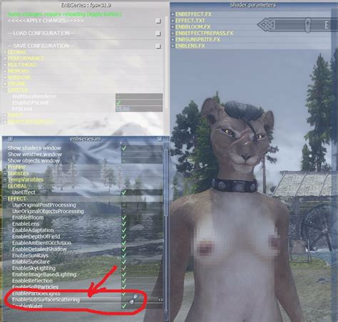 Small Problem With Enb Skyrim Technical Support Loverslab