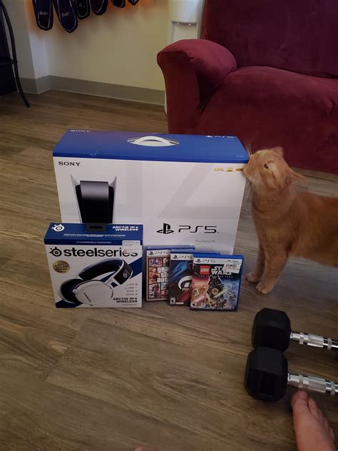 Cat Playstation Photo Op Roneorangebraincell