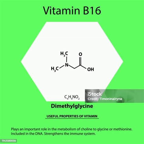 วิตามินบี 16 สูตรเคมีโมเลกุล Dimethylglycine คุณสมบัติที่มีประโยชน์ของวิตามิน อินโฟกราฟิก