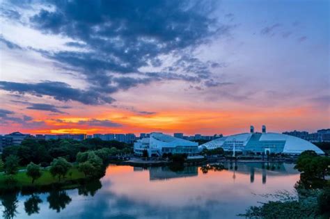 Application Guide For Zju Undergraduate Programs 2025 Gk Pqyrq Zhejiang