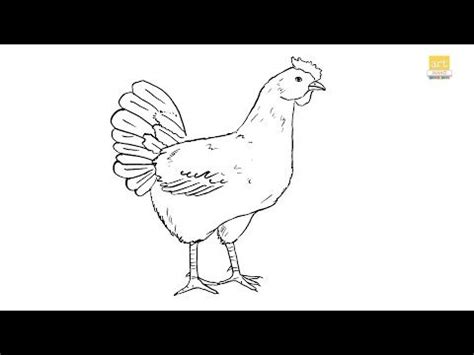 How To Draw Hen Step By Step II Hen Drawing Easy II Part II Artjanag Easy Drawings