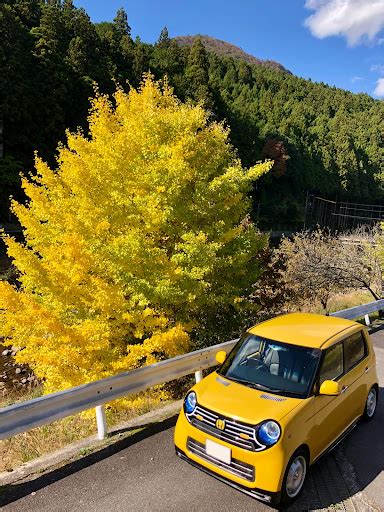 N One Kiinai N One Gl Neo Classic Cartune