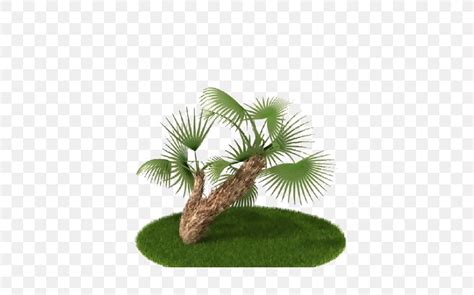 Autodesk 3ds Max Plant Wavefront Obj File Tree 3d Modeling Png