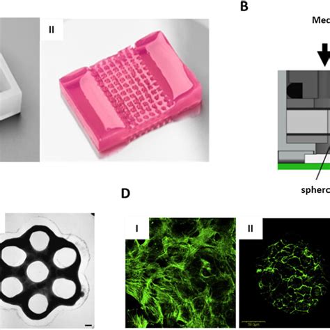 Substrate Modification For Positioning A Agarose 96 Well Microarray Download Scientific