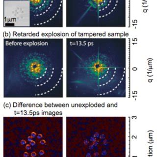 Measured Far Field Diffraction Patterns And Reconstructed Structures Download Scientific