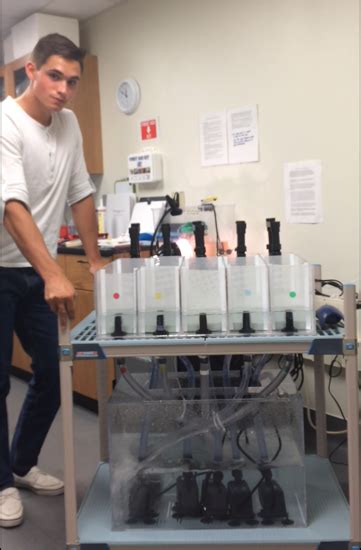 Forest Park Beauty School Penn State Class Cancellations University Park