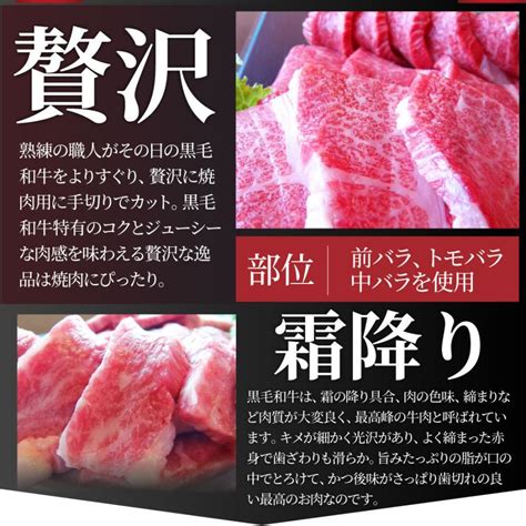 黒毛和牛 まるごと鰻 セット 2人前 焼肉のタレ 凍眠 テクニカン 肉 お中元 御中元 ギフト 食品 プレゼント うなぎ 黒毛和牛 カルビ