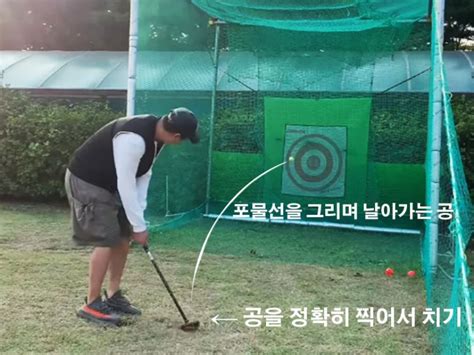 파크골프 잘 치는 법 위기 탈출 러프샷 펀치샷에 대해 알아봅시다 네이버 블로그