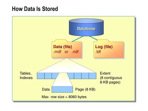 Ppt Module 3 Creating And Managing Databases Powerpoint Presentation