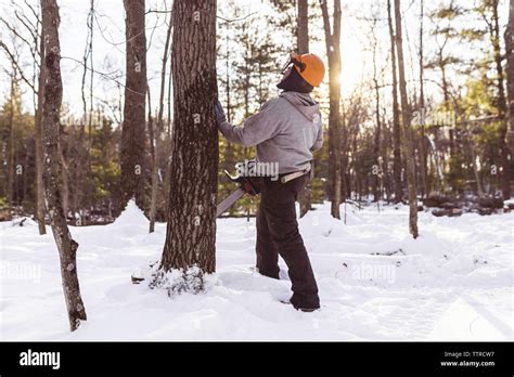 Chainsaw Tree Hi Res Stock Photography And Images Alamy